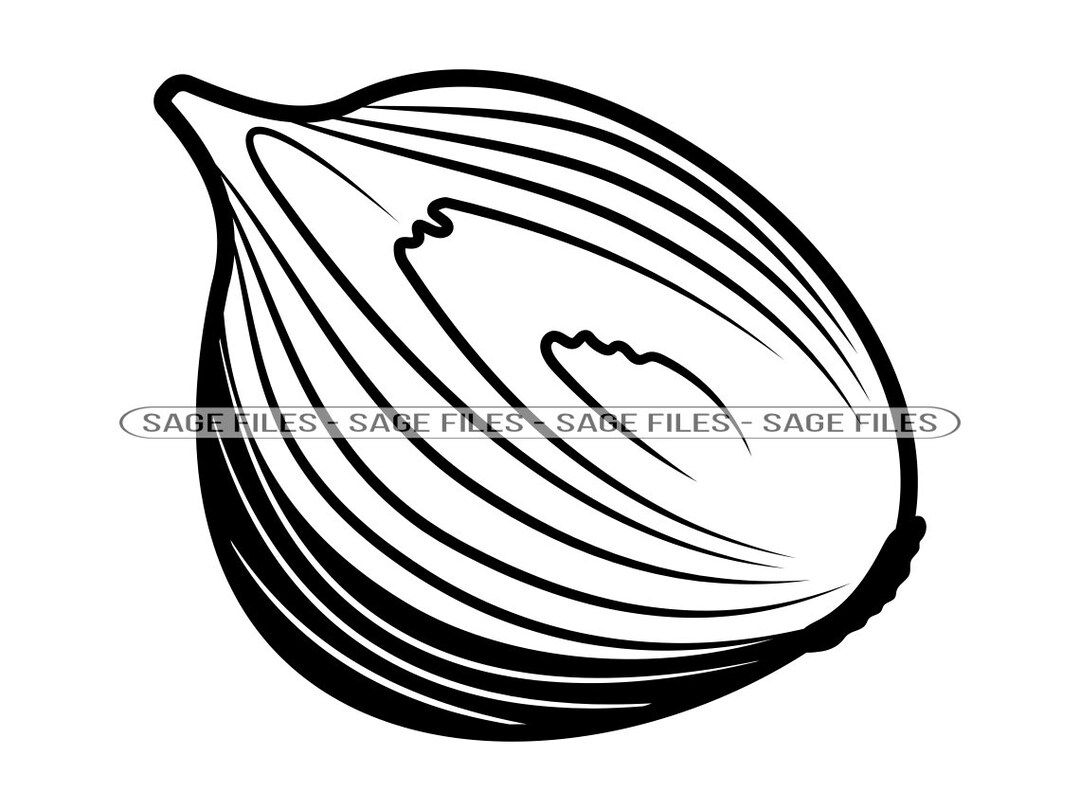 Onion SVG, Vegetable Svg, Onion Clipart, Onion Files for Cricut, Onion ...