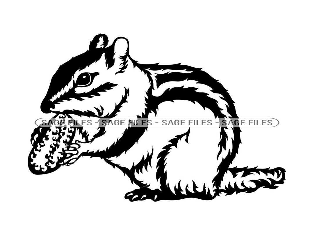 Chipmunk SVG, Autumn Svg, Chipmunk Clipart, Chipmunk Files for Cricut ...