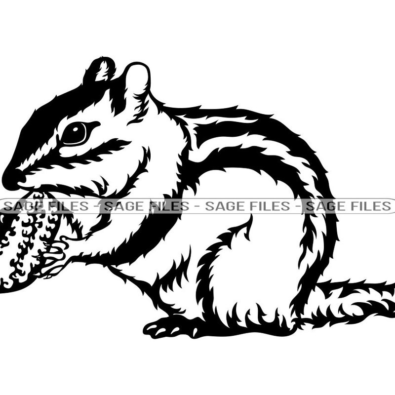 Chipmunk - Etsy