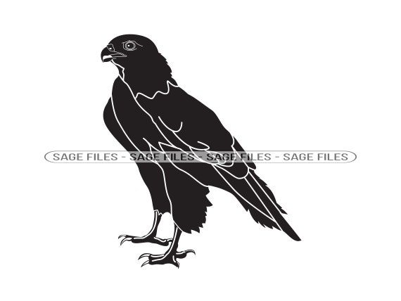 Hawk SVG Bird Svg Hawk Clipart Hawk Files for Cricut Hawk - Etsy