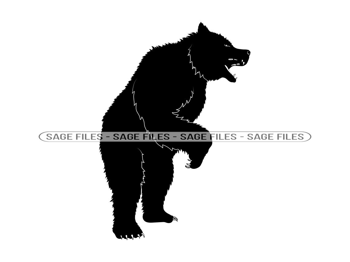 Clipart De Rosto De Urso Pardo