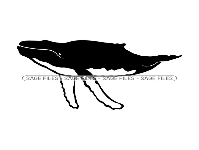 Humpback Whale 2 SVG, Humpback Whale SVG, Humpback Whale Clipart ...