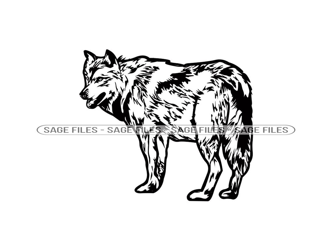 Wolf 4 SVG, Wolf SVG, Forest Animals Svg, Wolf Clipart, Wolf Files for ...