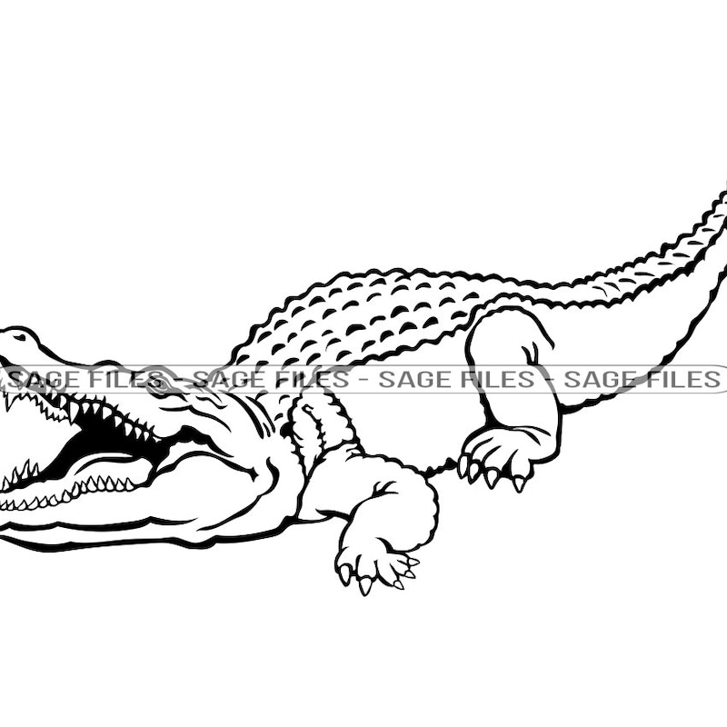 Alligator - Etsy