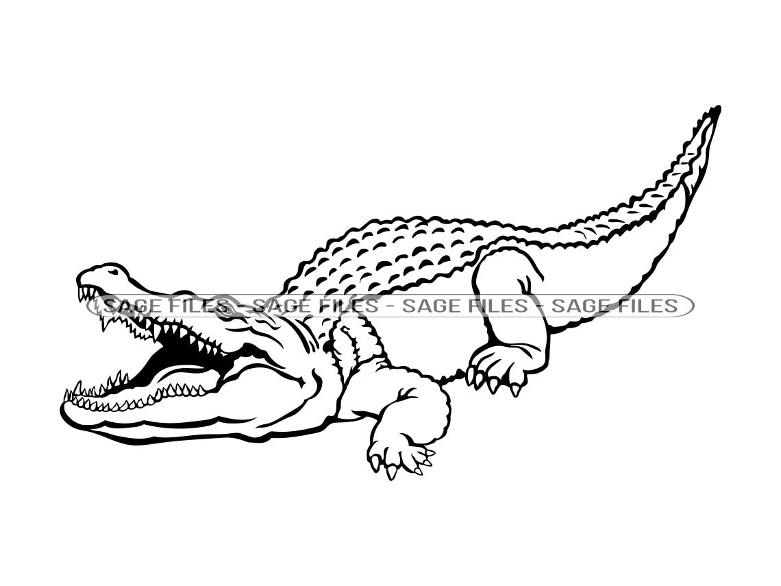 Alligator Outline Clip Art