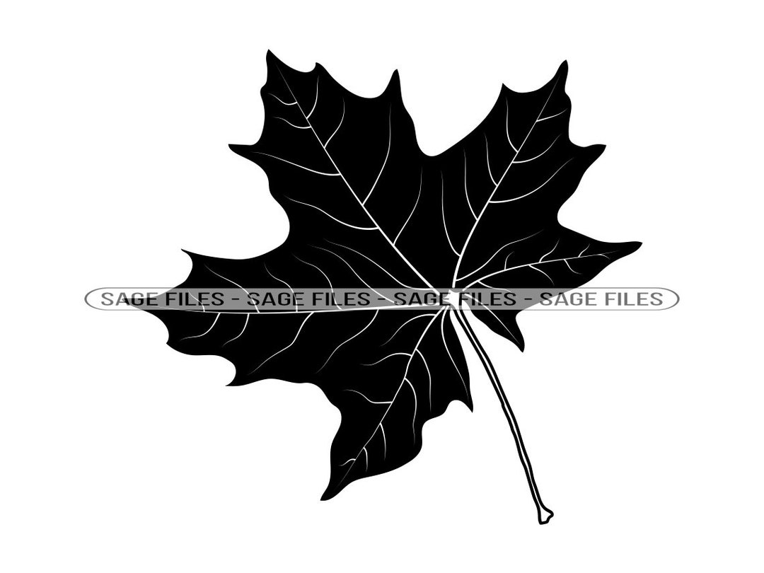 Maple Leaf 2 SVG, Leaf Svg, Autumn Svg, Maple Leaf Clipart, Maple Leaf ...