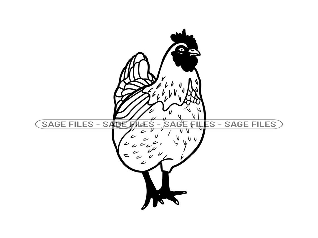 Chicken 4 SVG Chicken SVG Chicken Clipart Chicken Files - Etsy