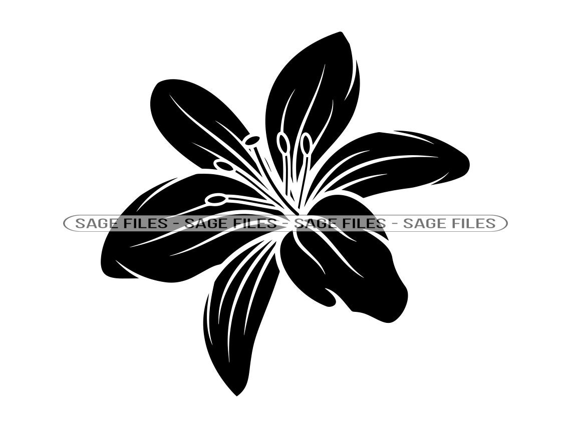 Lily Flower #4 SVG, Lily Flower Svg, Lily SVG, Flower Svg, Lily Flower ...