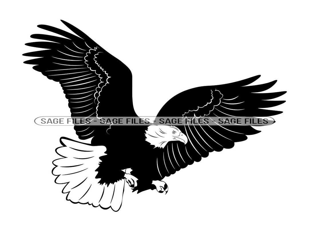 Eagle 5 SVG, Eagle SVG, Eagle PNG, Eagle Design, Eagle Clipart, Eagle ...