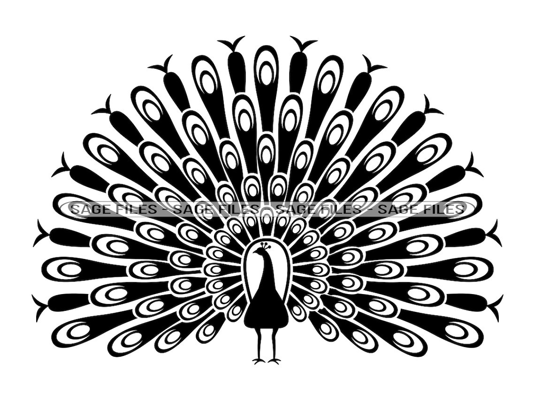 Peacock #3 SVG, Peacock SVG, Peafowl Svg, Peacock Clipart, Peacock ...