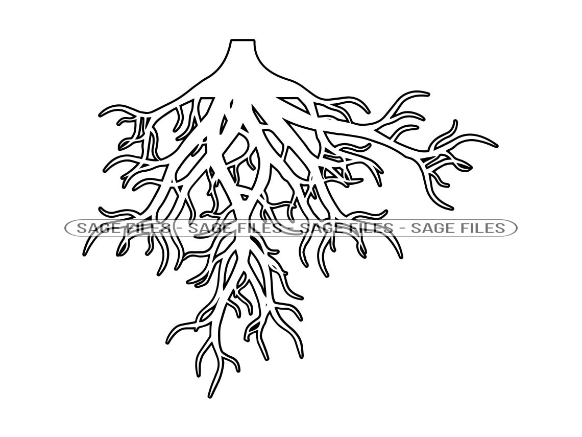 Roots Outline 3 SVG, Roots SVG, Tree Roots Svg, Family Svg, Roots ...