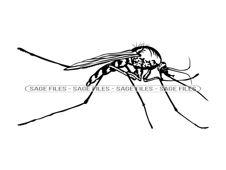 Mosquito #3 SVG, Mosquito Svg, Insect Svg, Mosquito Clipart, Mosquito ...