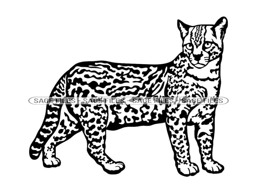 Ocelot SVG, Ocelot Clipart, Ocelot Files for Cricut, Ocelot Cut Files ...