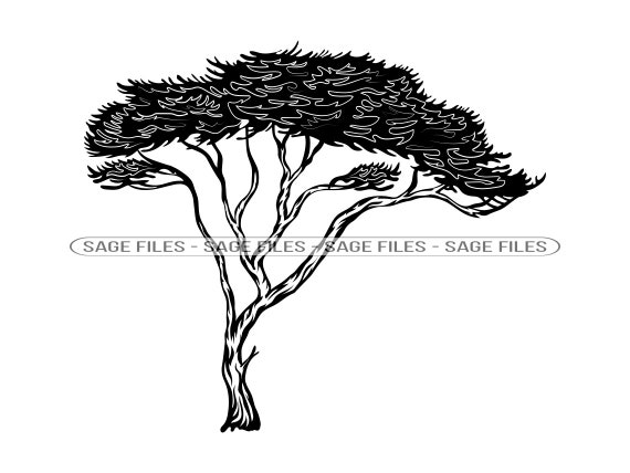 Safari Tree SVG Safari Svg African Tree Svg Tree Clipart - Etsy UK