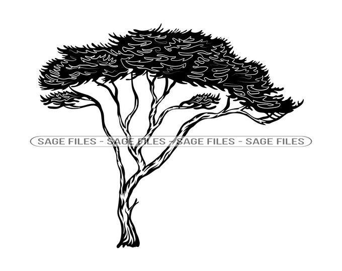 Safari Tree SVG, Safari Svg, African Tree Svg, Tree Clipart,cricut ...
