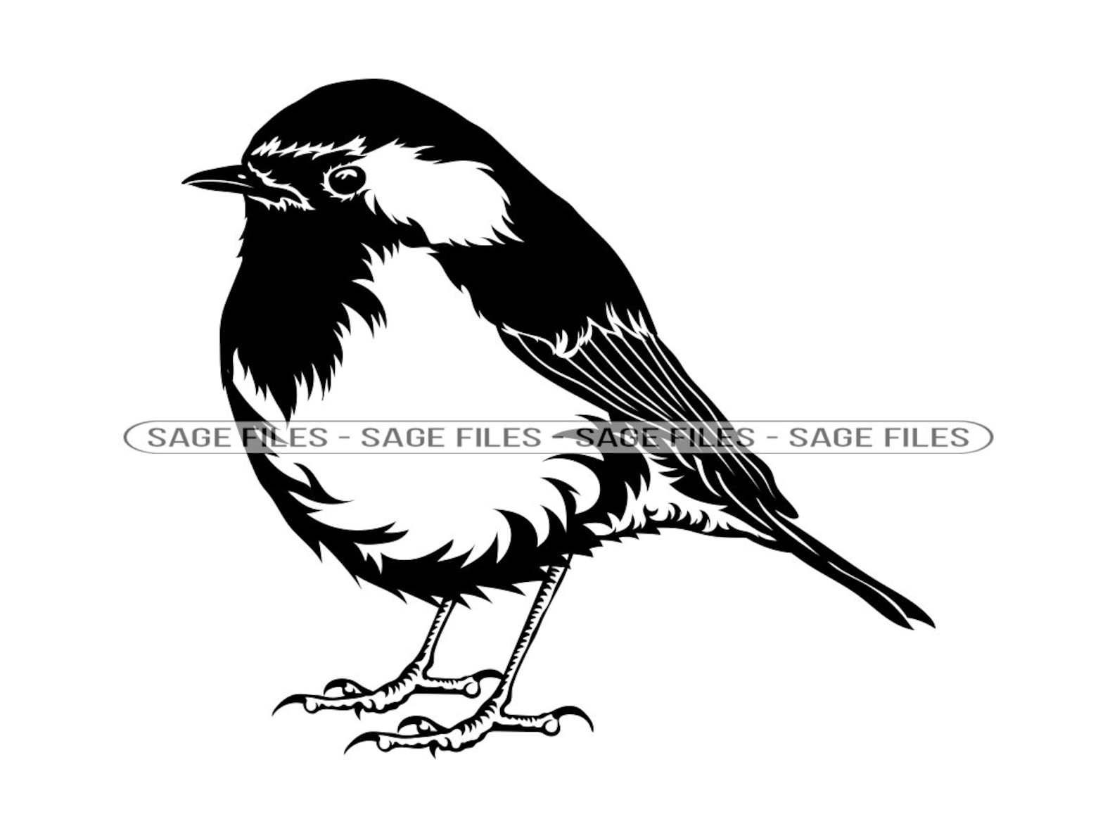 Europäischer Rotkehlchen SVG Vogel SVG Vogel Clipart - Etsy Schweiz