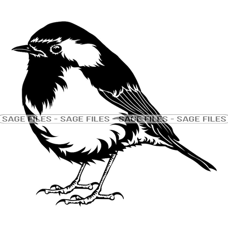 Robin Outline - Etsy UK