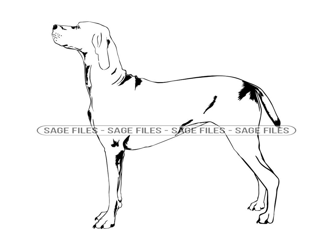 Pointer Dog SVG, Pointer Dog Clipart, Pointer Dog Files for Cricut ...