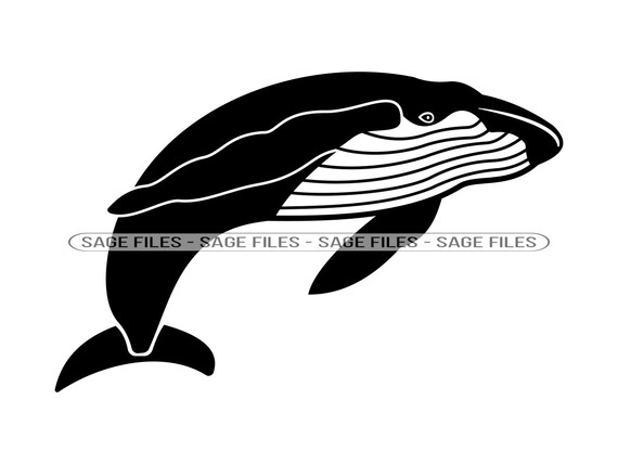 Humpback Whale SVG Humpback Whale Clipart Humpback Whale - Etsy