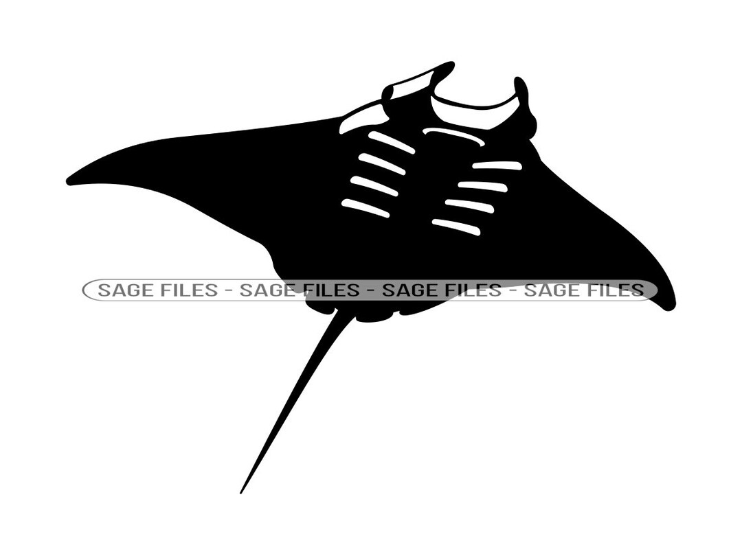 Manta Ray SVG, Manta Ray Clipart, Manta Ray Files for Cricut, Manta Ray ...