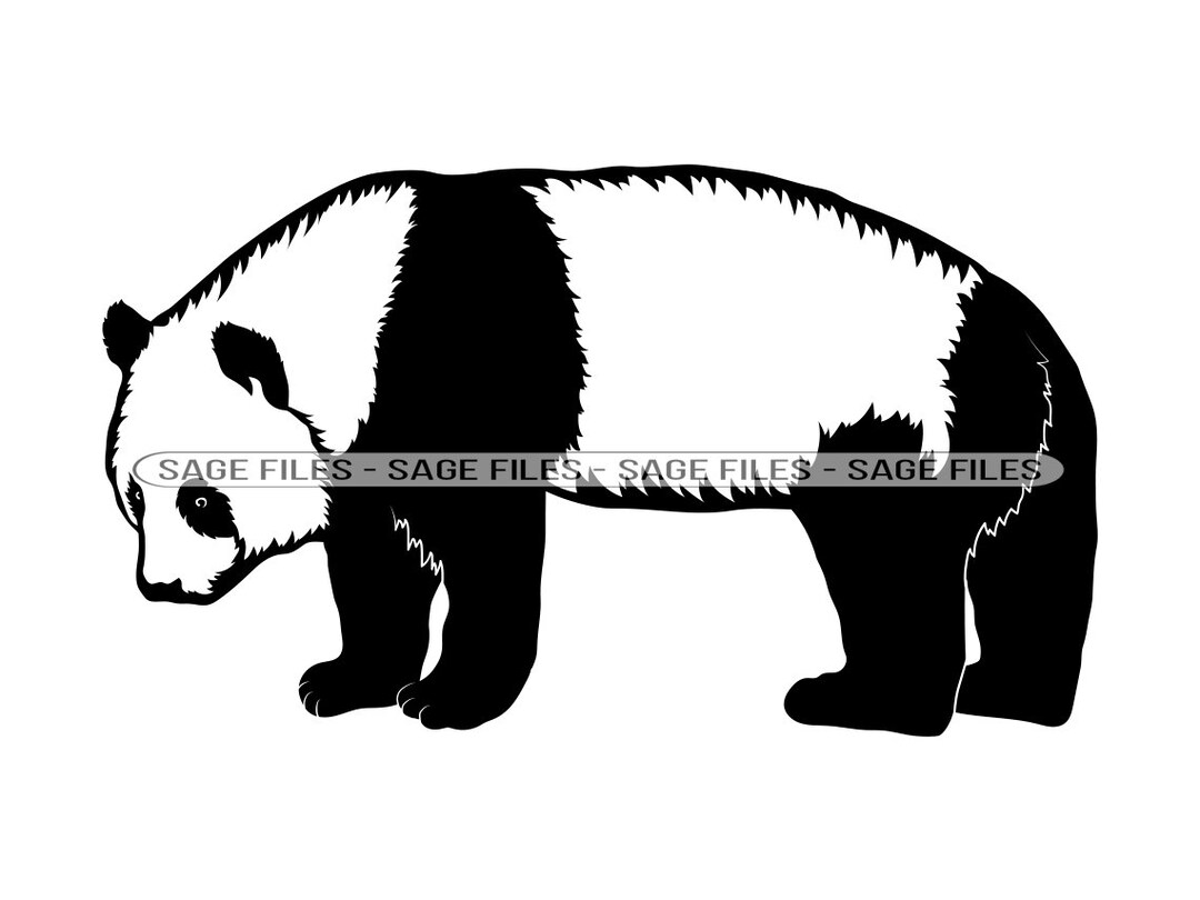 Giant Panda SVG, Panda Svg, Panda Clipart, Panda Files for Cricut ...