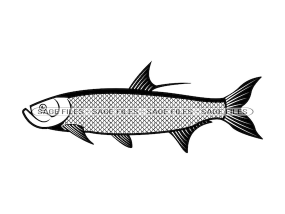 Tarpon SVG Fishing Svg Fish Svg Fishing Clipart Fishing - Etsy