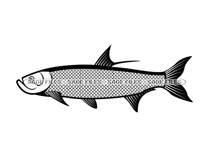 Tarpon SVG, Fishing Svg, Fish Svg, Fishing Clipart, Fishing Files for ...