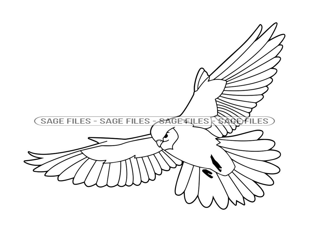 Kestrel Outline #2 SVG, Kestrel SVG, Bird Svg, Kestrel Clipart, Kestrel ...