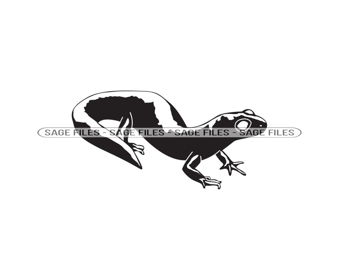 Salamander SVG, Gecko Svg, Lizard Svg, Salamander Clipart, Salamander ...