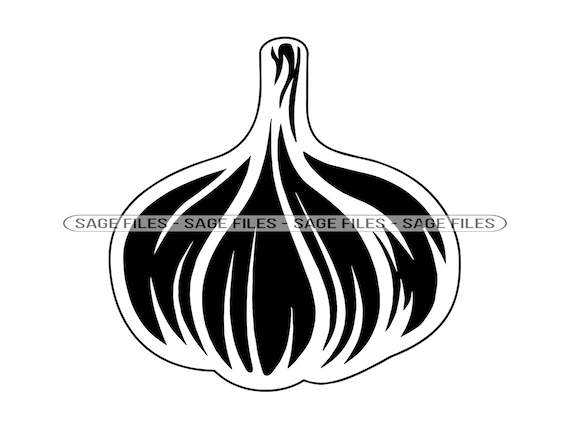Garlic SVG Garlic SVG Garlic Clipart Garlic Files for - Etsy