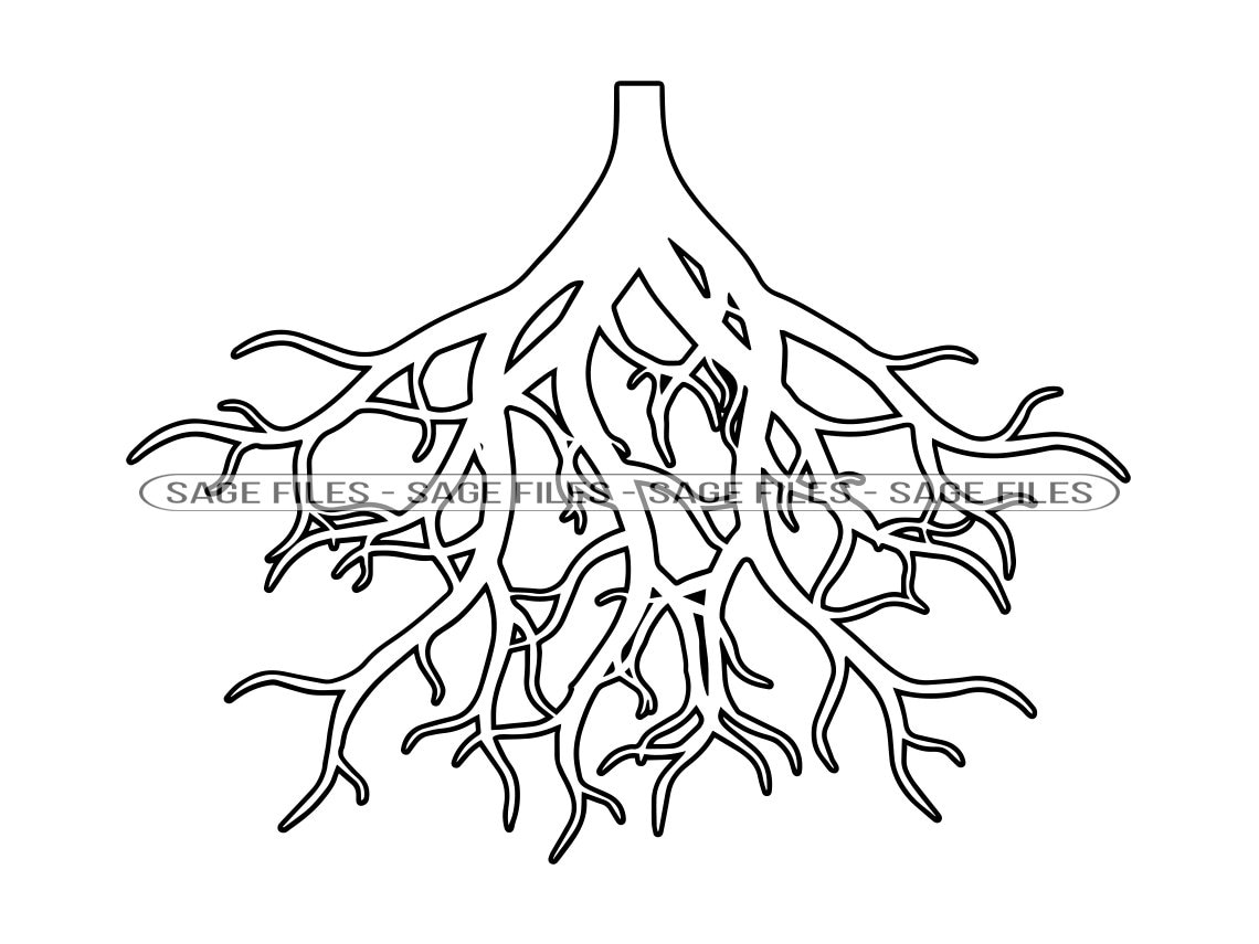 Roots Outline 2 SVG Roots SVG Tree Roots Svg Family Svg - Etsy