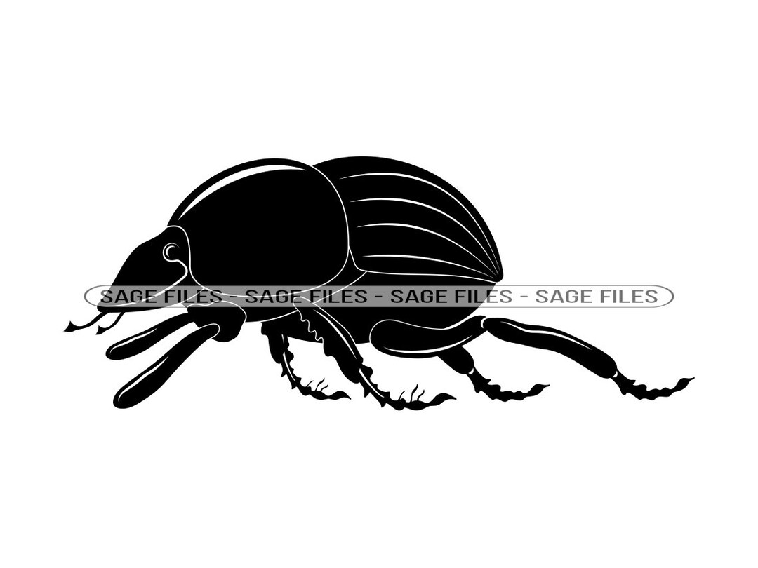 Black Scarab Beetle 2 SVG, Beetle Svg, Insect Svg, Bug Svg, Beetle ...