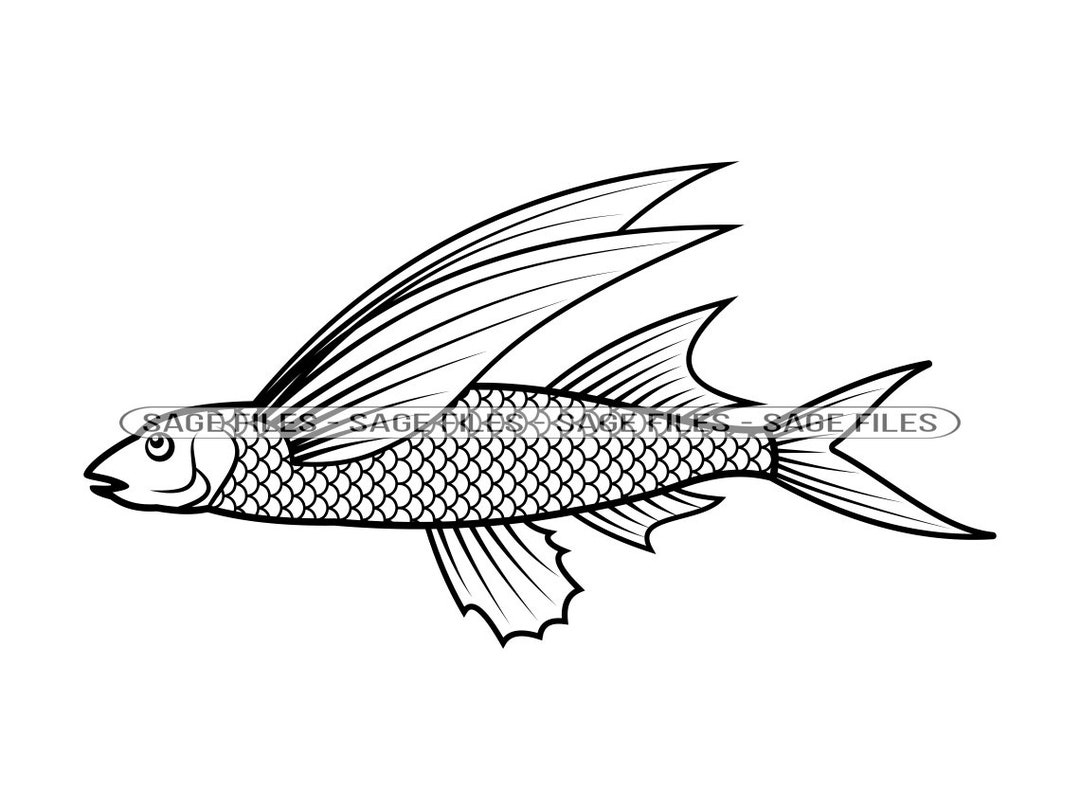 Flying Fish SVG, Exocoetidae Svg, Fishing Svg, Fish SVG, Clipart ...