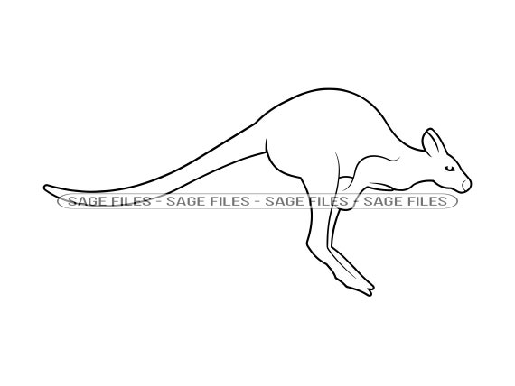 Kangaroo Drawing Outline