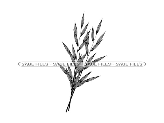 Oats 2 SVG Oats SVG Cereal Svg Food Svg Oats Clipart - Etsy