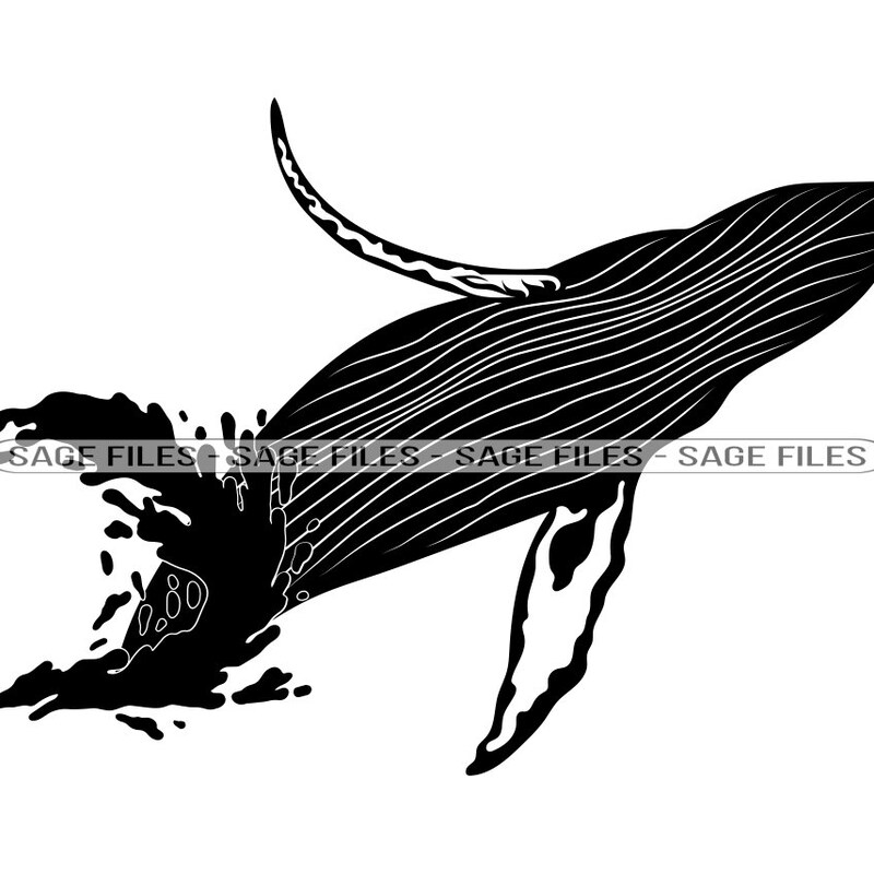 Humpback Whale Svg - Etsy