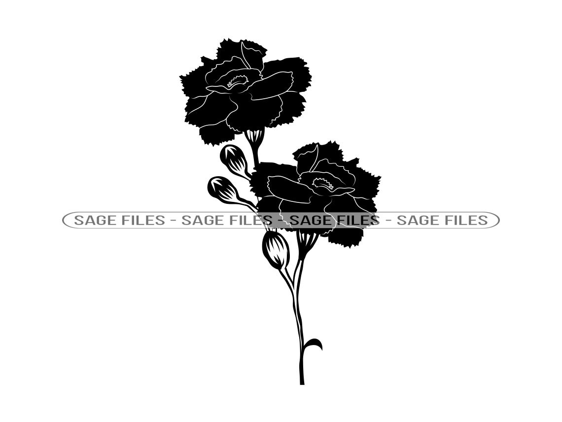 Carnation Flowers SVG Flower SVG Flower Clipart Flower - Etsy