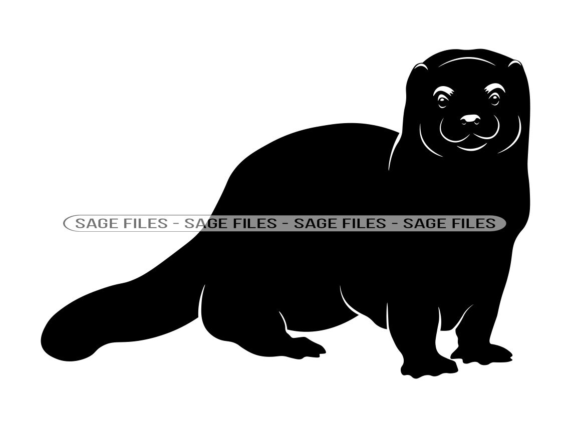 Mink 5 SVG Mink SVG Mink PNG Mink Design Mink Clipart - Etsy UK