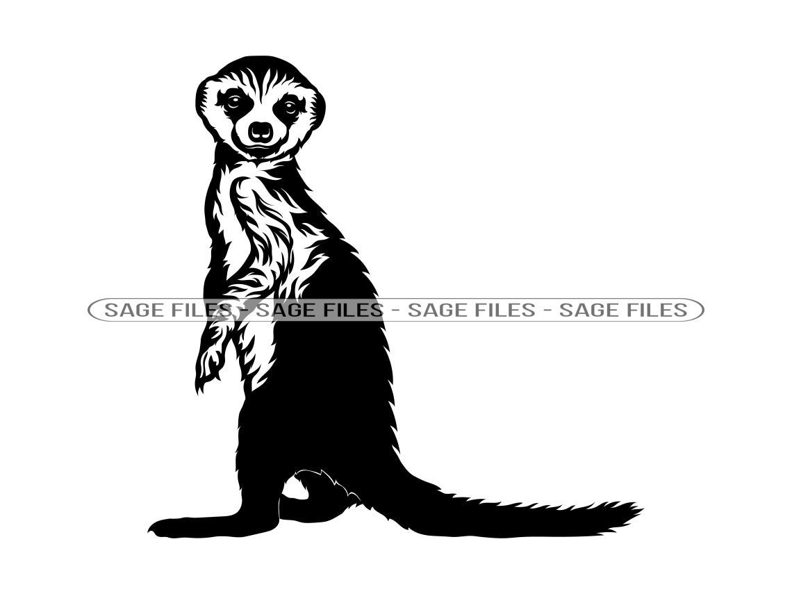 Meerkat Simples Audio Clipart