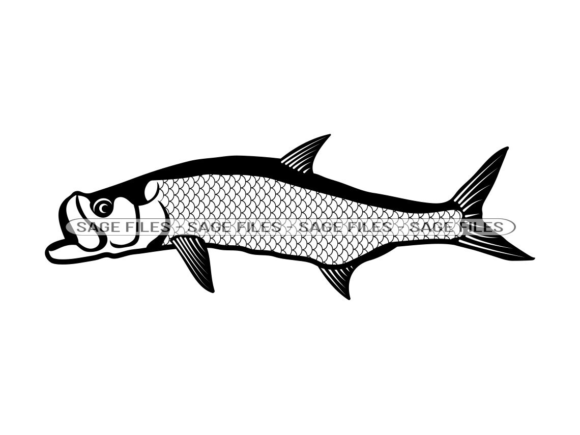 Tarpon #3 SVG, Fishing Svg, Fish Svg, Fishing Clipart, Fishing Files ...
