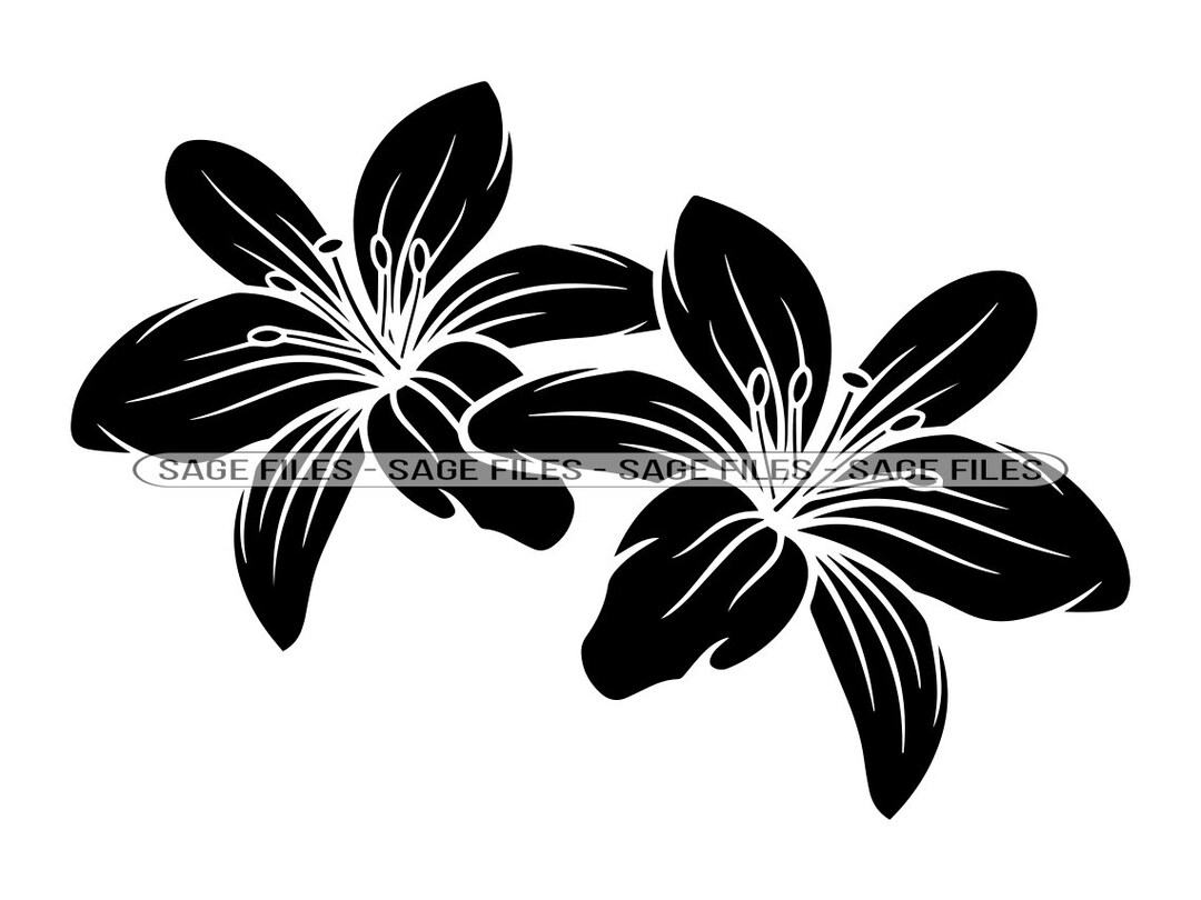 Lily Flowers SVG, Lily Flower Svg, Lily SVG, Flower Svg, Lily Flower ...