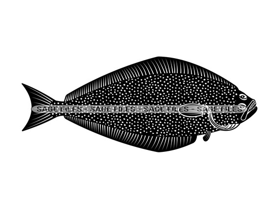 Halibut Silhouette Halibut Fish Shape Svg Png Icon Free Download