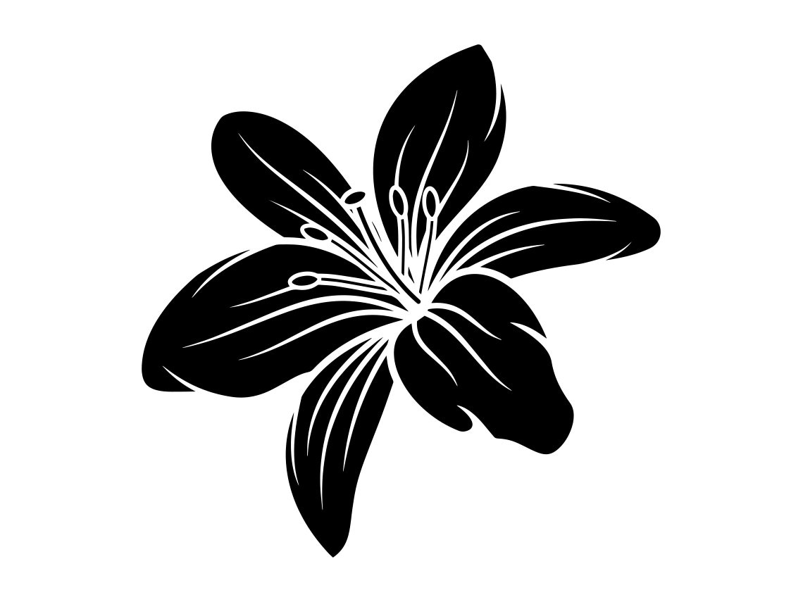 Lily Flower 4 SVG Lily Flower Svg Lily SVG Flower Svg | Etsy