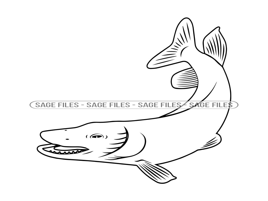 Northern Pike Outline 6 SVG Fishing Svg Fish SVG Fishing - Etsy