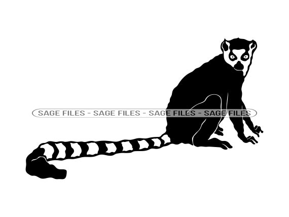 Lemur SVG Lemur Clipart Lemur Files for Cricut Lemur Cut - Etsy