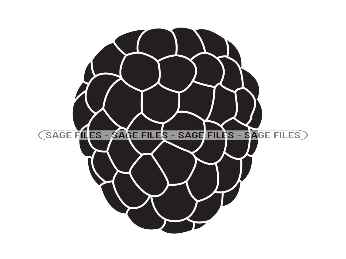 Blackberry SVG Fruit Svg Blackberry Clipart Blackberry - Etsy