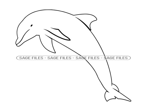 Dolphin Outline