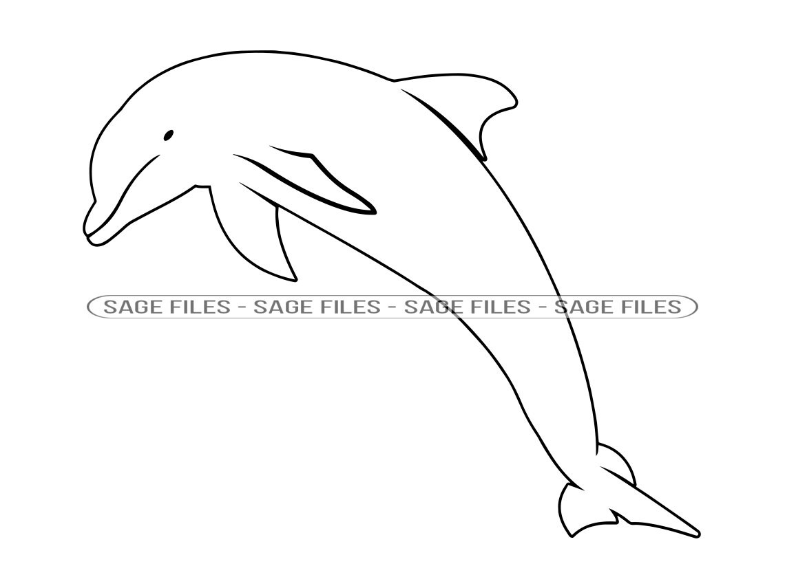 Dolphin Outline Picture