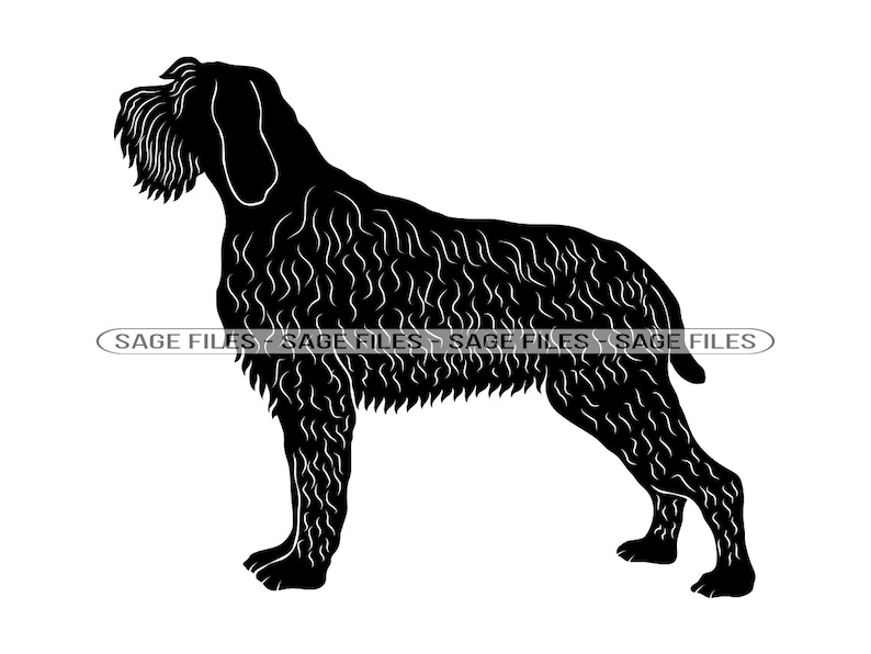 Wirehaired Pointing Griffon SVG, Dog Svg, Wirehaired Pointing Griffon ...
