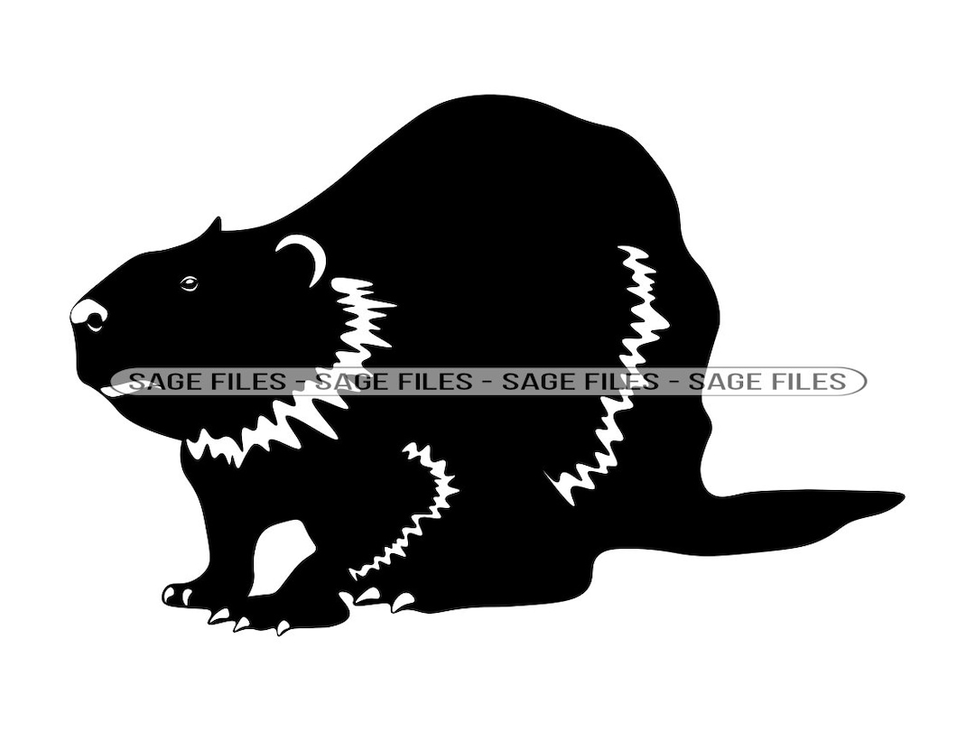 Beaver #5 SVG, Beaver SVG, Beaver PNG, Beaver Design, Beaver Clipart ...